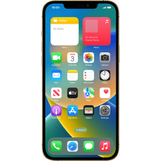Apple iPhone 12 Pro Max - Apps and media | Vodafone Ireland