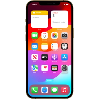 Apple iPhone 12 Pro Max - Basic functions | One New Zealand