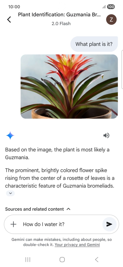 Follow the instructions on the screen to type or speak the required ...